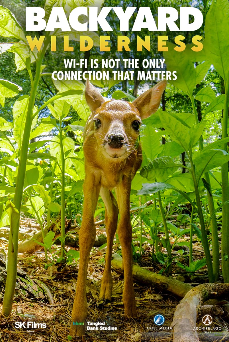 Productions | SK Films | Award-winning content provider and global ...