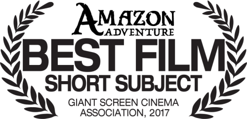 Home - SK Films