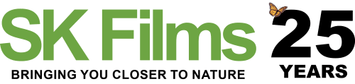 Home - SK Films