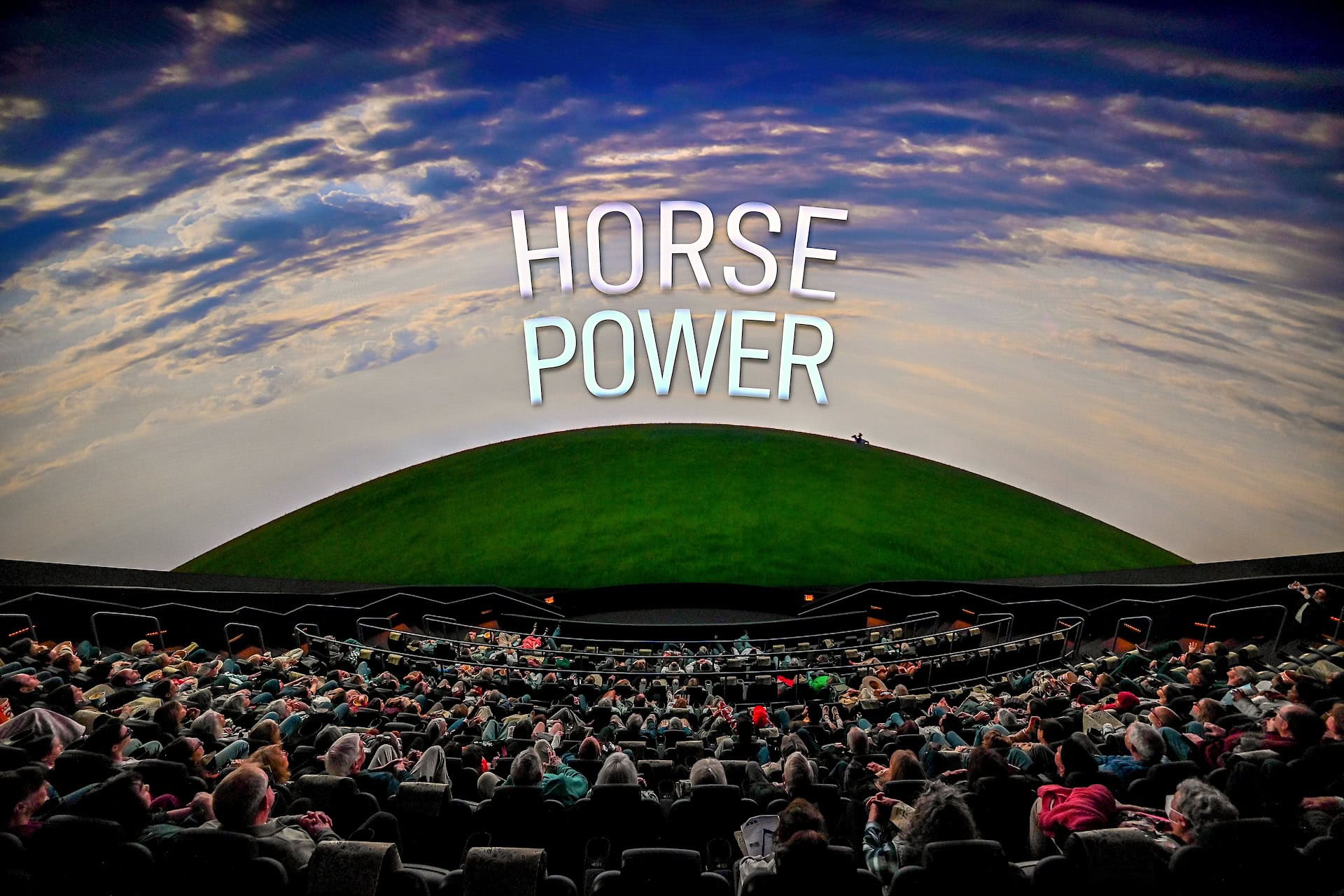 Horse Power wows audiences at Fort Worth Museum of Science & Nature ...